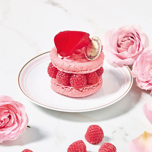 Ispahan | Ladurée Cakes & Pastries | Order Online